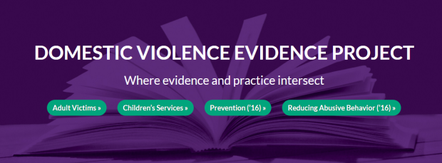 DV Programs Help Survivors: The DV Evidence Project and Theory of Change